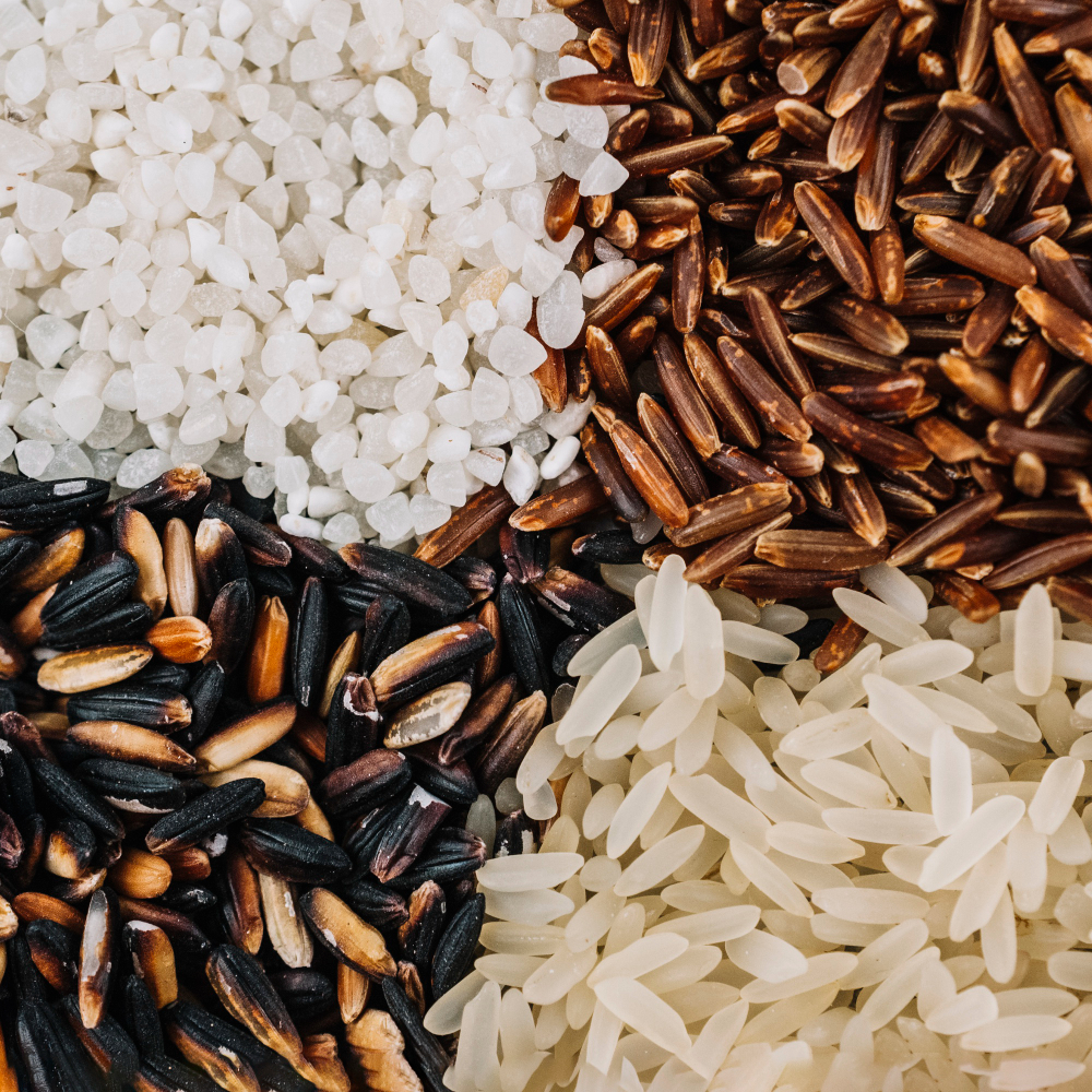 Descubra os Diferentes Tipos de Arroz e Como Usá-los - Instituto Gourmet